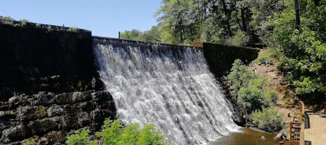 Movers in Taylors | Swamp Rabbit Moving